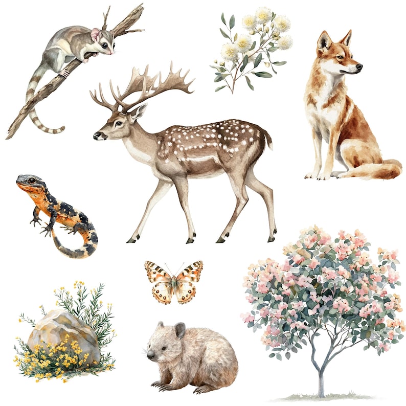 Watercolor Australian Animals Clipart Png Bundle, Cute Animals Clipart ...