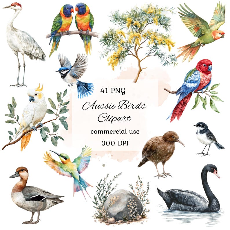 Watercolor Australian Birds Clipart Png Bundle, Australian Animals ...
