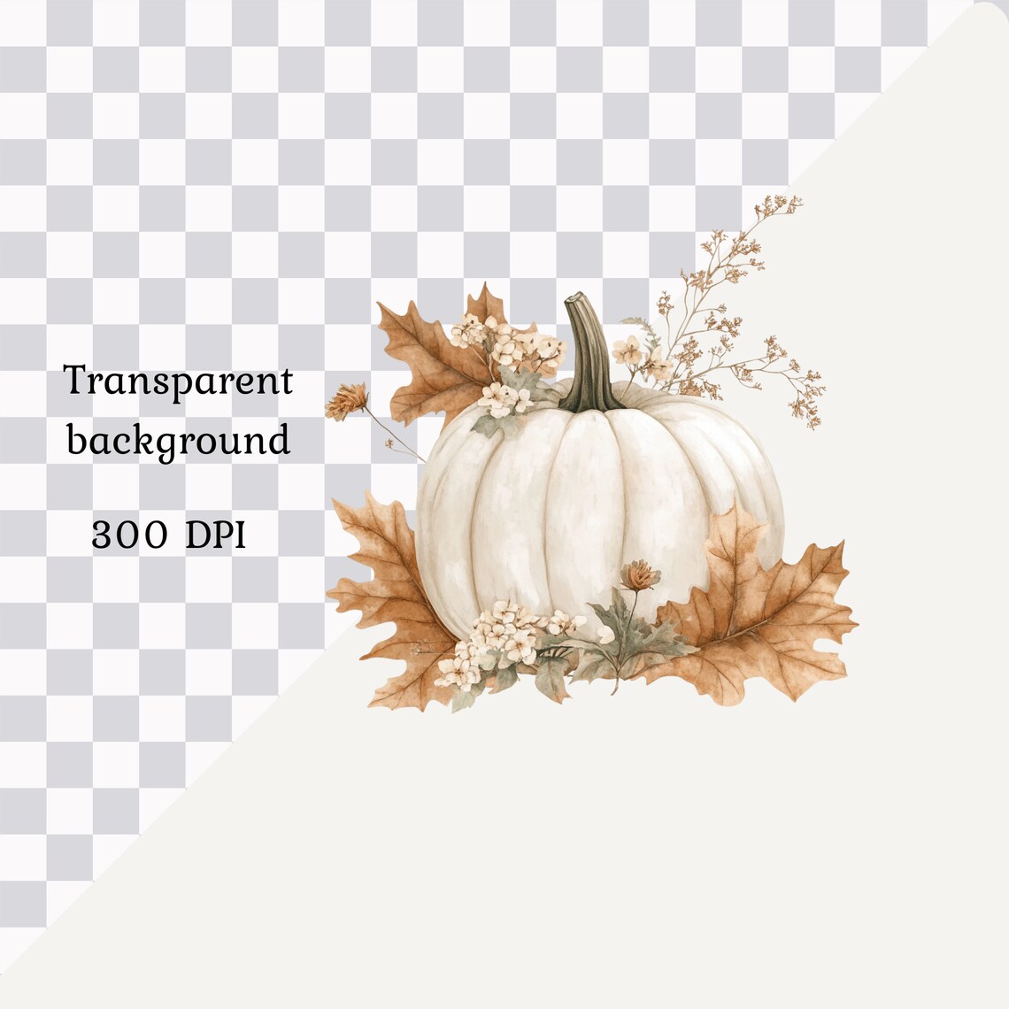 Watercolor Neutral Pumpkin Clipart Png Bundle, White Pumpkin, Neutral ...