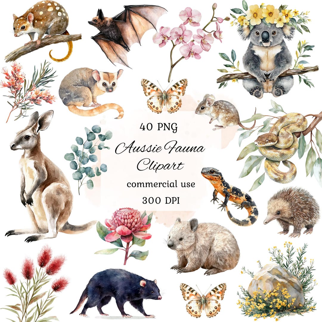 Watercolor Australian Animals Clipart Png Bundle, Cute Animals Clipart ...