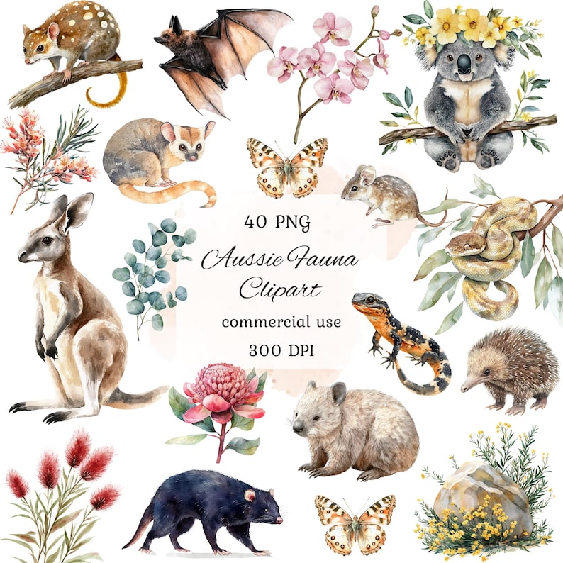 Watercolor Australian Animals Clipart Png Bundle, Cute Animals Clipart ...