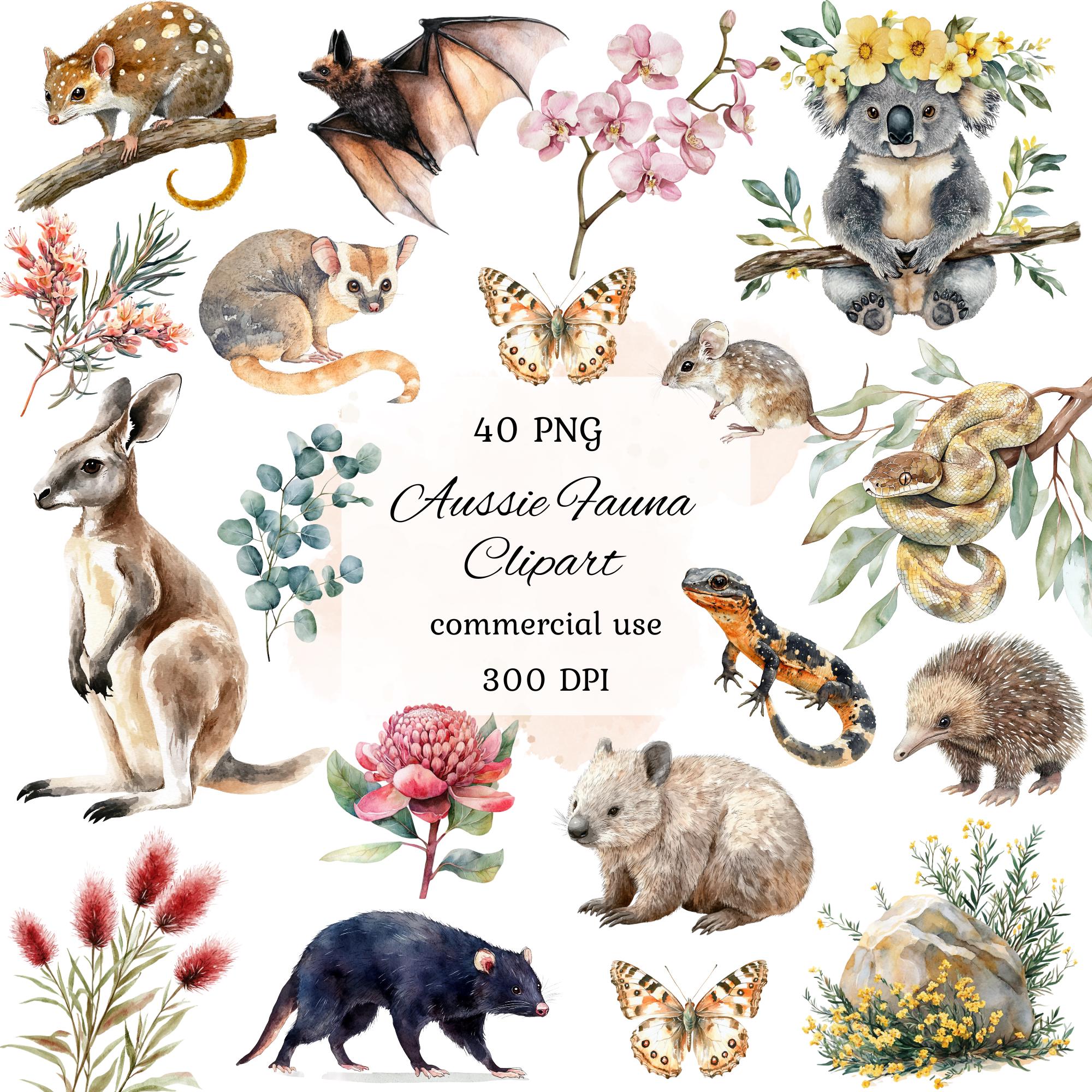 Watercolor Australian Animals Clipart Png Bundle, Cute Animals Clipart ...