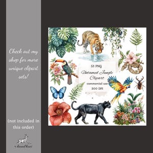 Watercolor Safari Animals Clipart Png Bundle, African Savanna, Safari ...