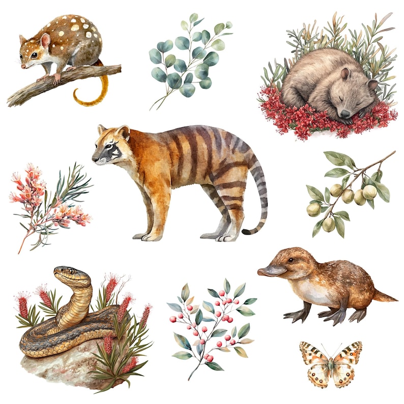 Watercolor Australian Animals Clipart Png Bundle, Cute Animals Clipart ...