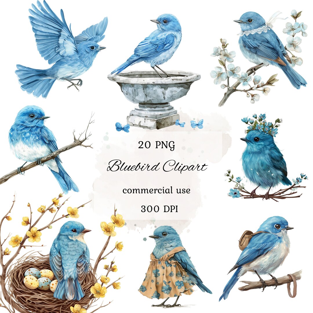 Bluebird Watercolor Clipart Png Bundle, Nursery Art, Cute Bluebird, Ai ...