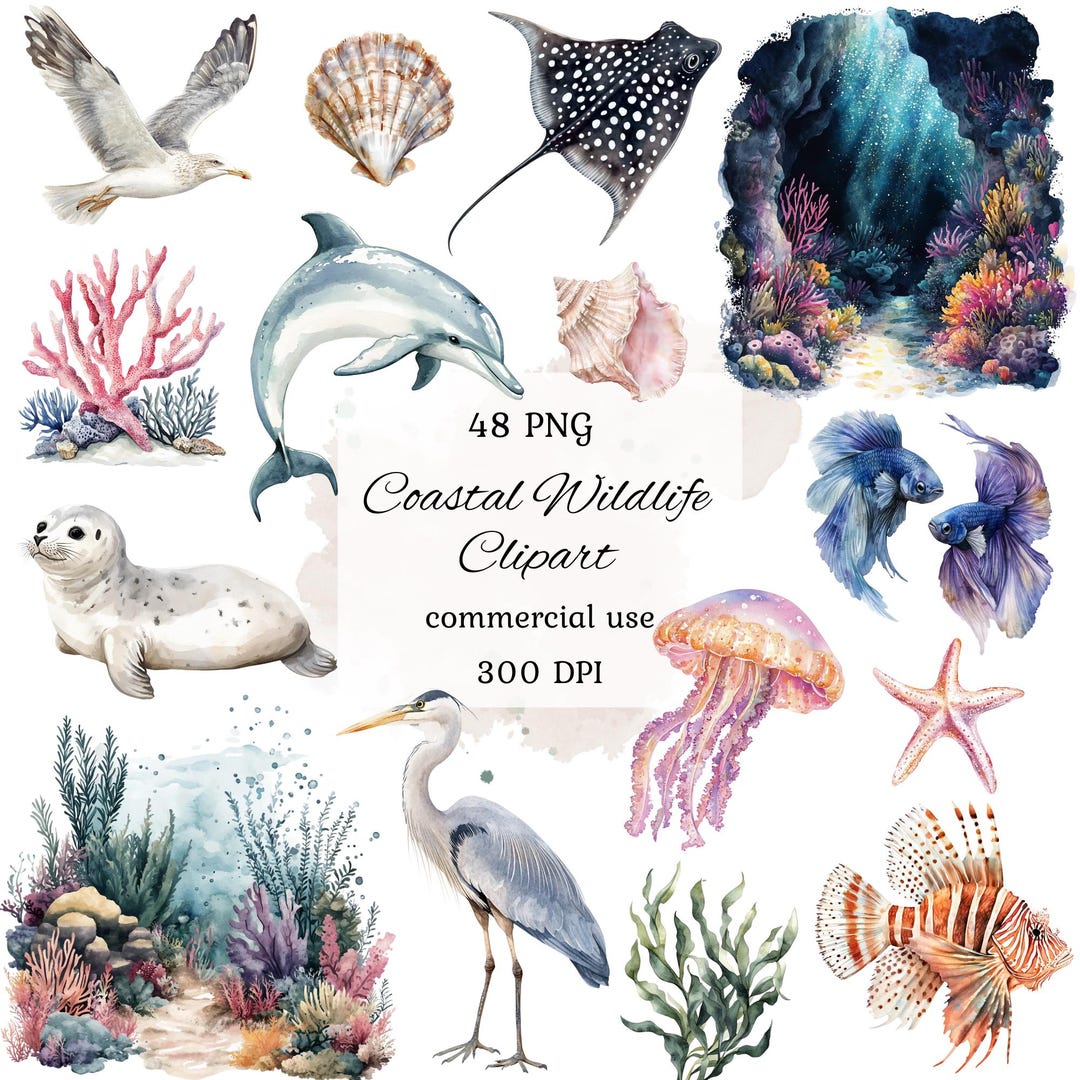 Watercolor Ocean Animals Clipart Png Bundle, Watercolor Ocean Clipart ...