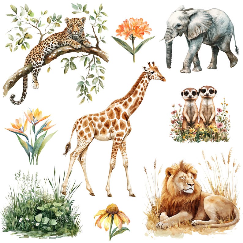 Watercolor Safari Animals Clipart Png Bundle, African Savanna, Safari ...