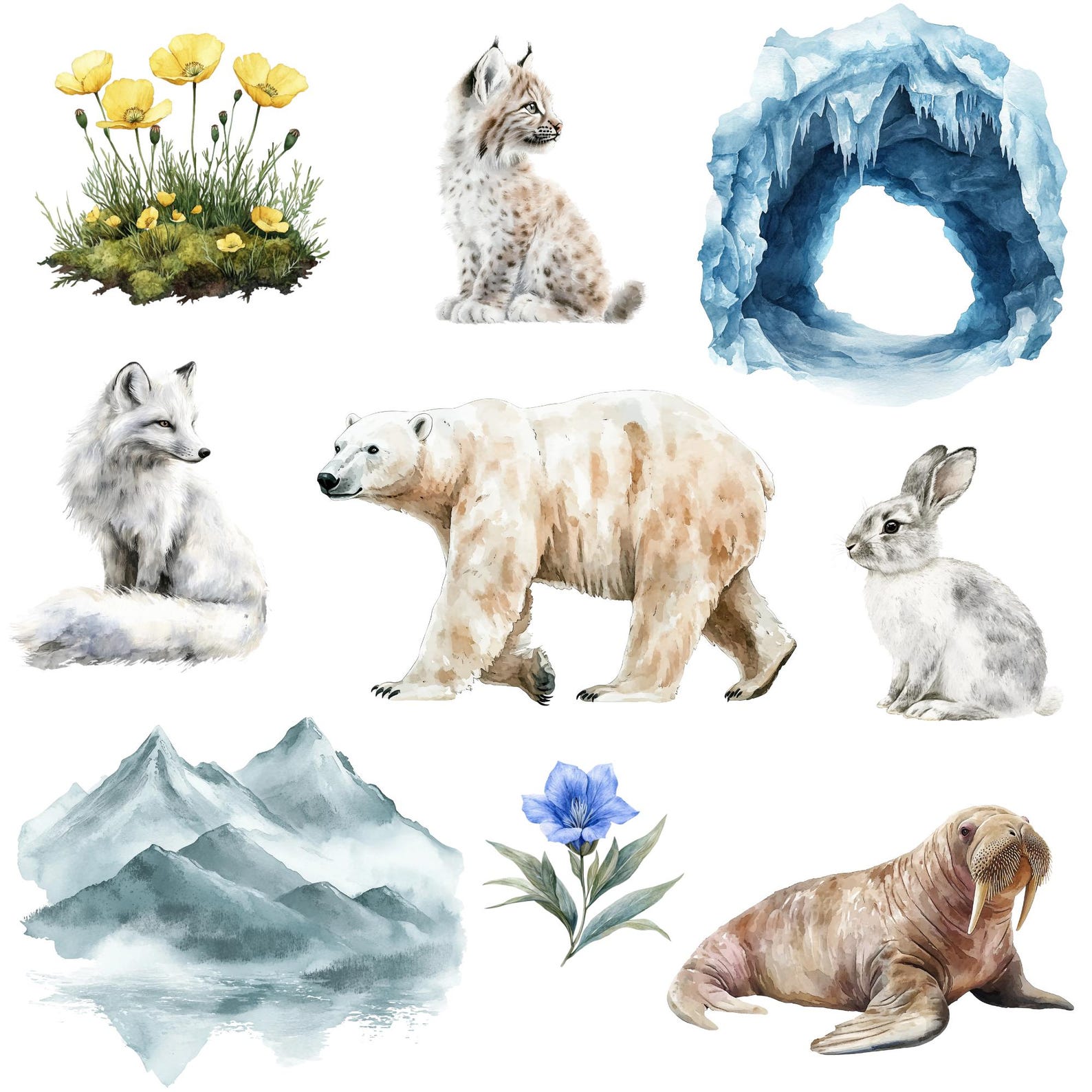 Watercolor Tundra Arctic Animals Clipart Png Bundle, Polar Animals ...