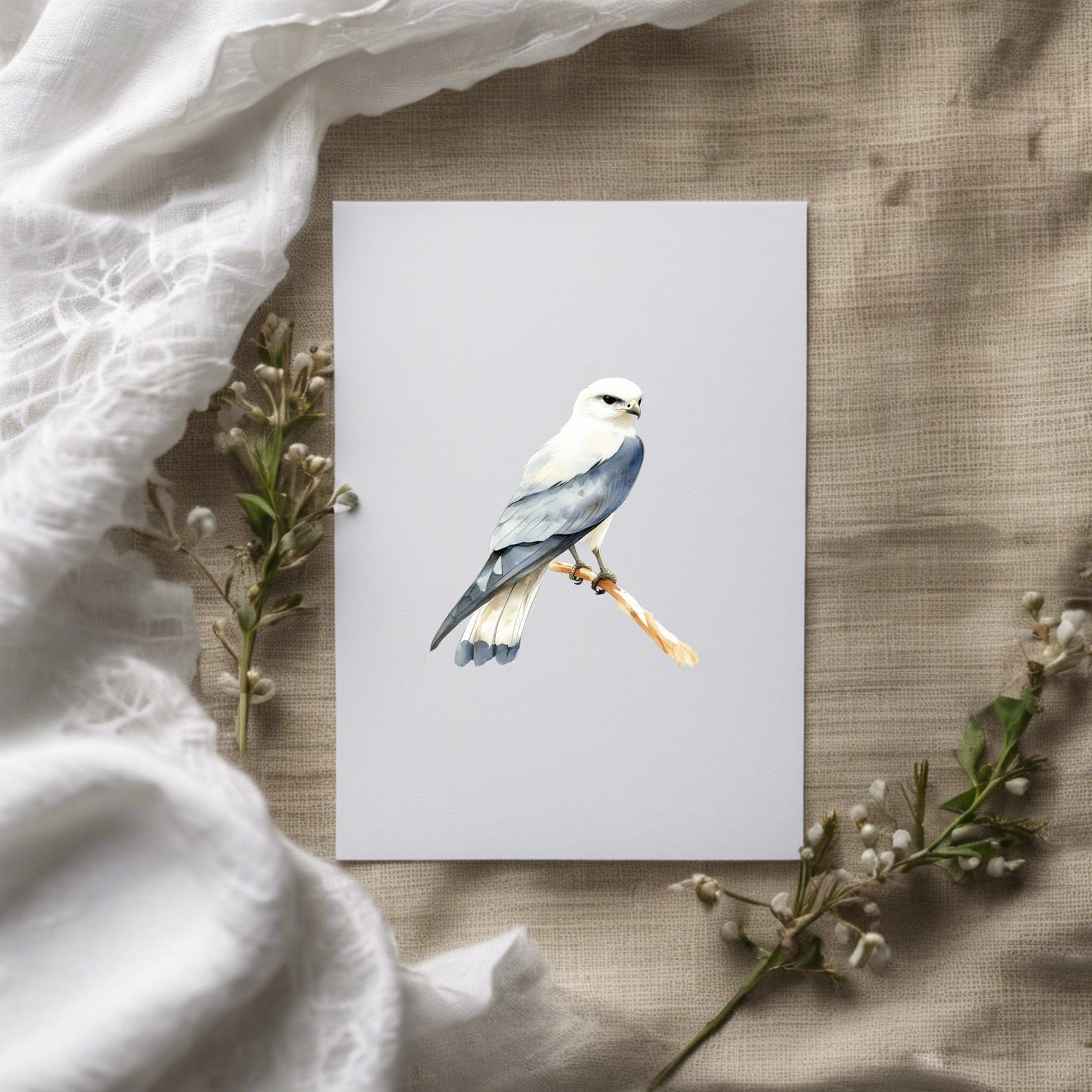 Watercolor Australian Birds Clipart Png Bundle, Australian Animals ...