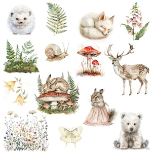 Enchanted Forest Watercolor Clipart Png Bundle, Mystical Clipart, Fairy ...