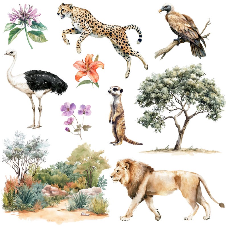 Watercolor Safari Animals Clipart Png Bundle, African Savanna, Safari ...