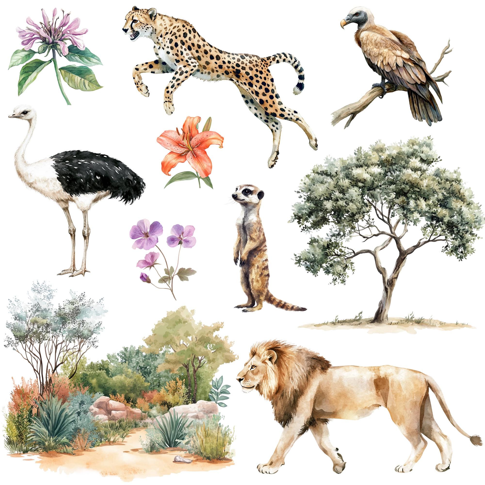 Watercolor Safari Animals Clipart Png Bundle, African Savanna, Safari ...