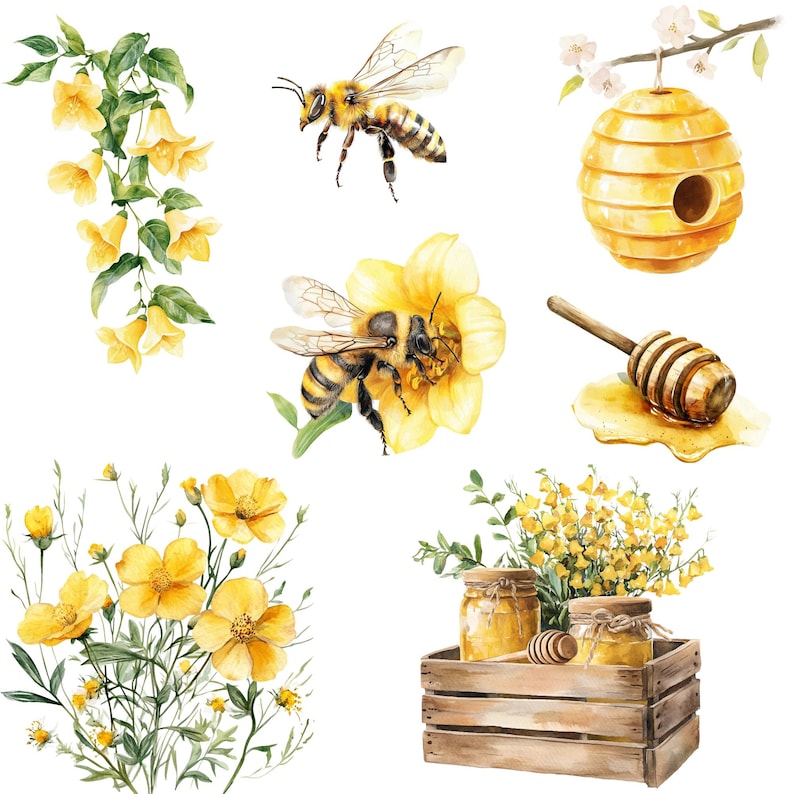 Watercolor Honey Bee Clipart Png Bundle, Bumble Bee Clipart, Bee Hive ...