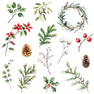 Watercolor Christmas Greenery Clipart Png Bundle, Cozy Winter Greenery ...
