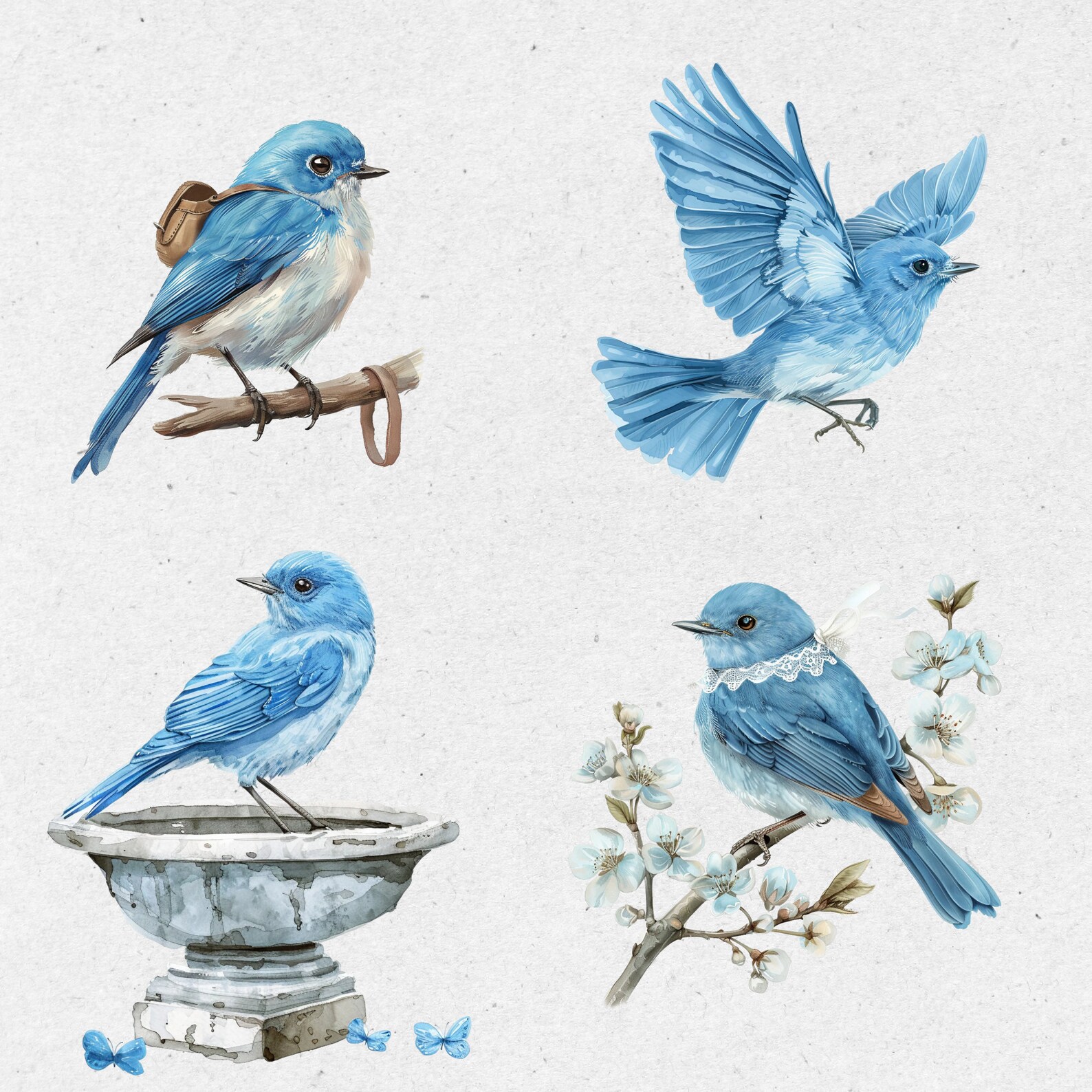 Bluebird Watercolor Clipart Png Bundle, Nursery Art, Cute Bluebird, Ai ...