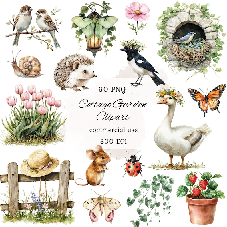 Watercolor Garden Animals Clipart Png Bundle, Garden Clipart, Farm ...