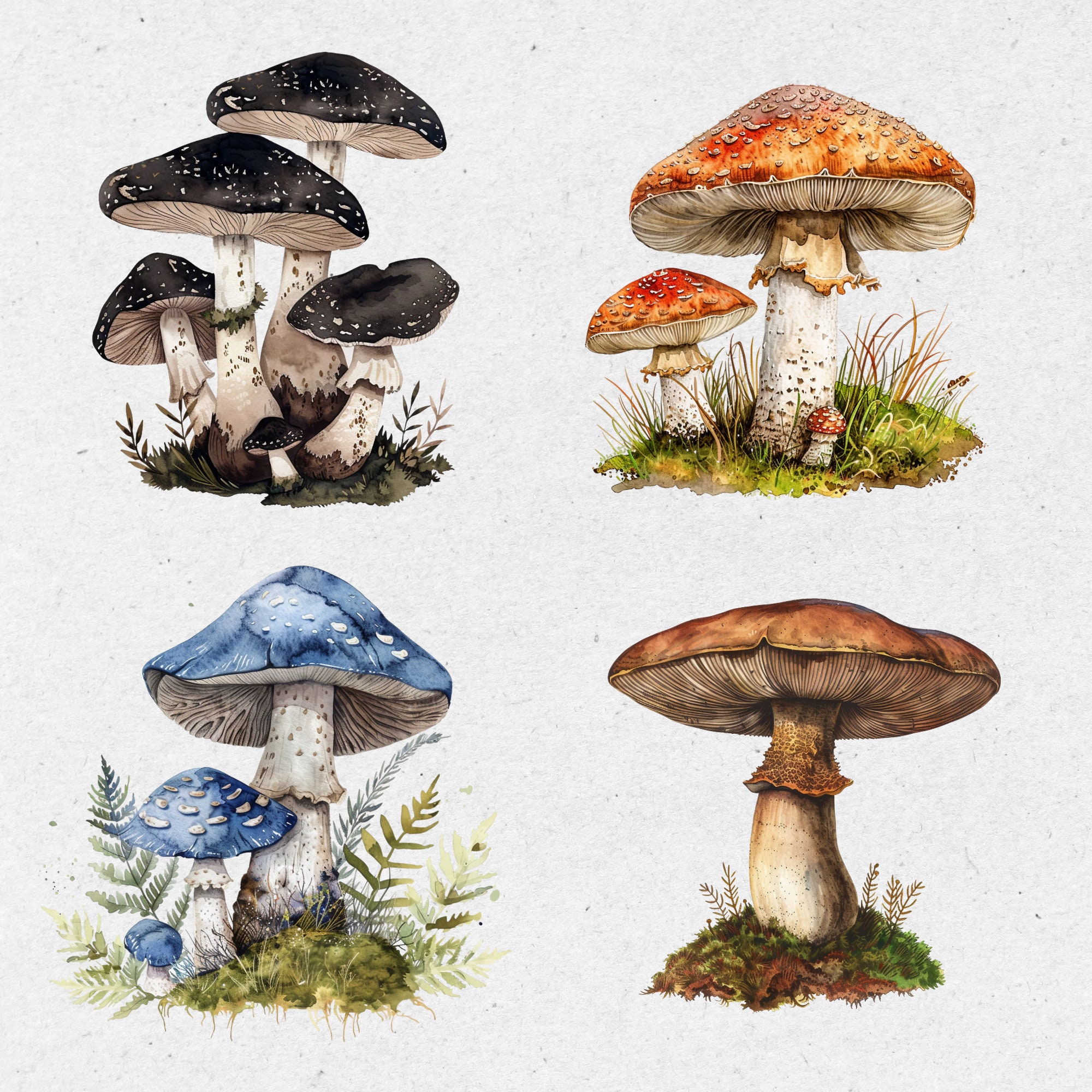 Watercolor Mushroom Clipart Png Bundle, Toadstool Clipart, Woodland ...