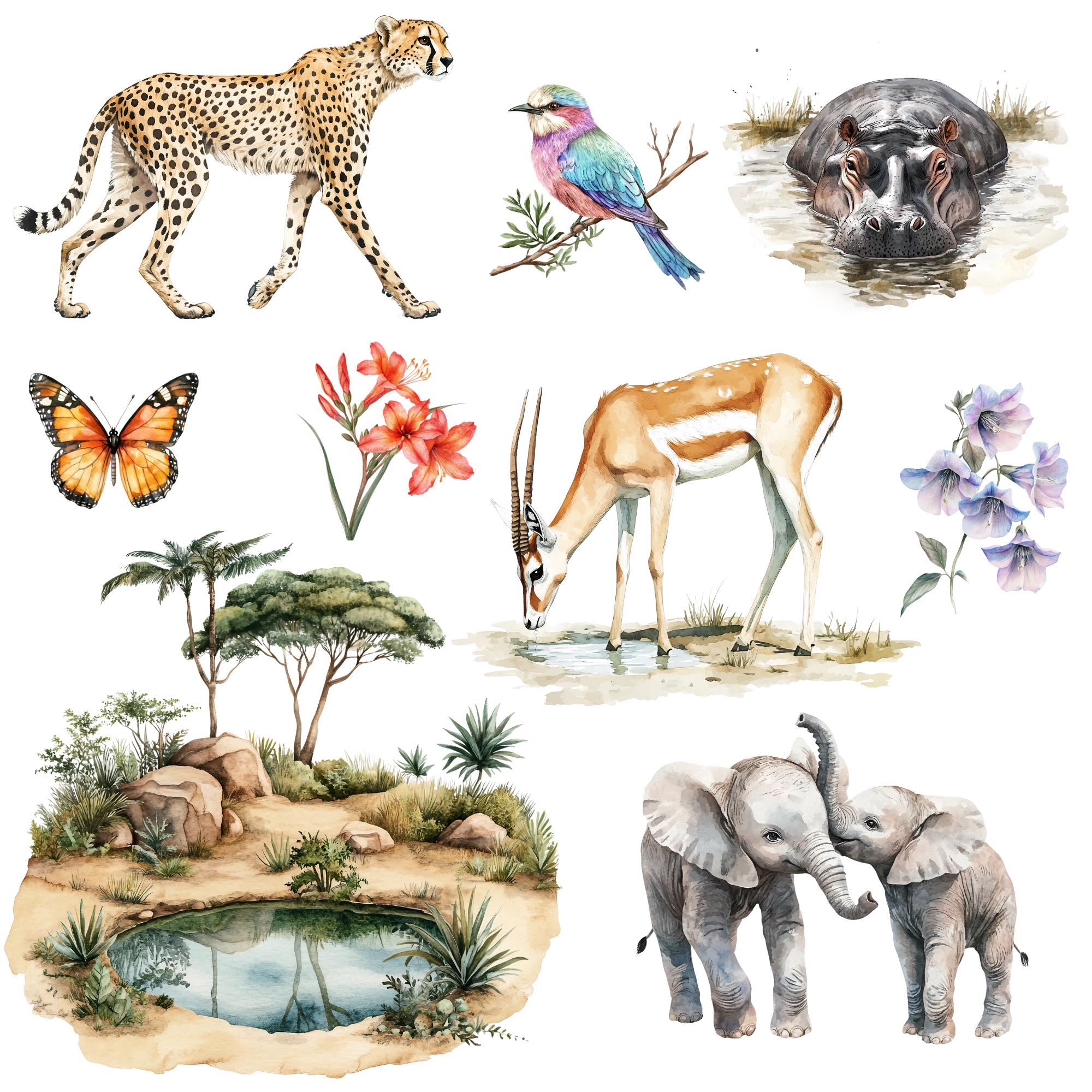 Watercolor Safari Animals Clipart Png Bundle, African Savanna, Safari ...
