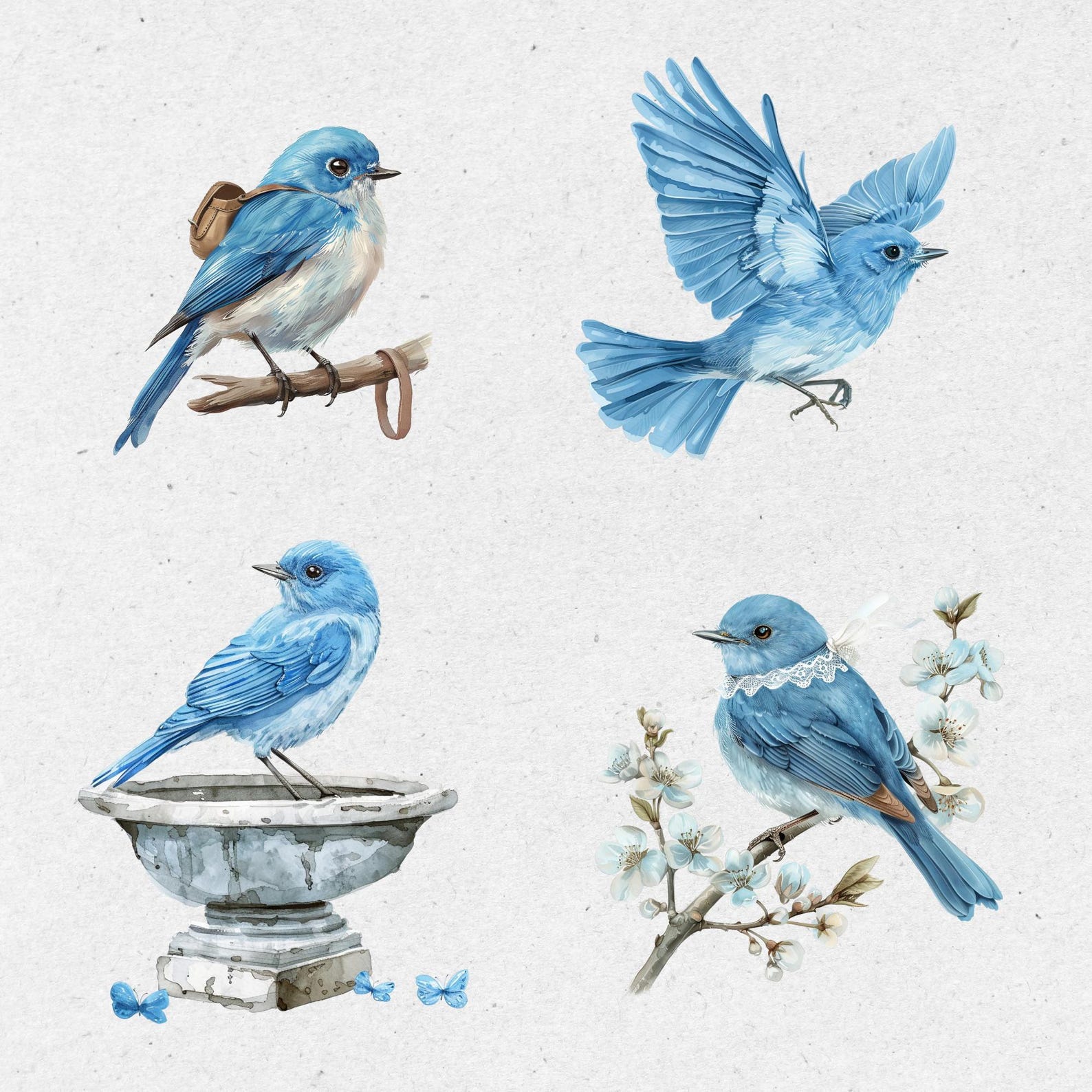 Bluebird Watercolor Clipart Png Bundle, Nursery Art, Cute Whimsical ...