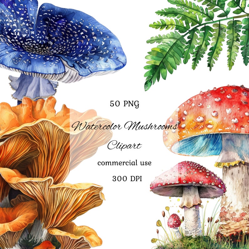 Watercolor Mushroom Clipart Png Bundle, Toadstool Clipart, Woodland ...