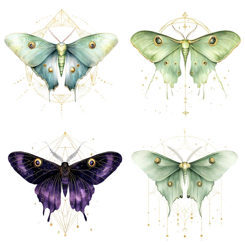 Watercolor Luna Moth Clipart Png Bundle, Luna Moth Drawing, Luna Moth ...