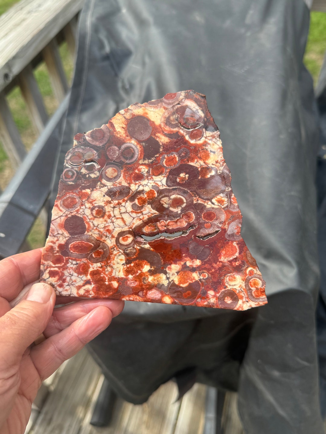 Galaxy Orbicular Rhyolite Slab specimen, Lapidary - Etsy