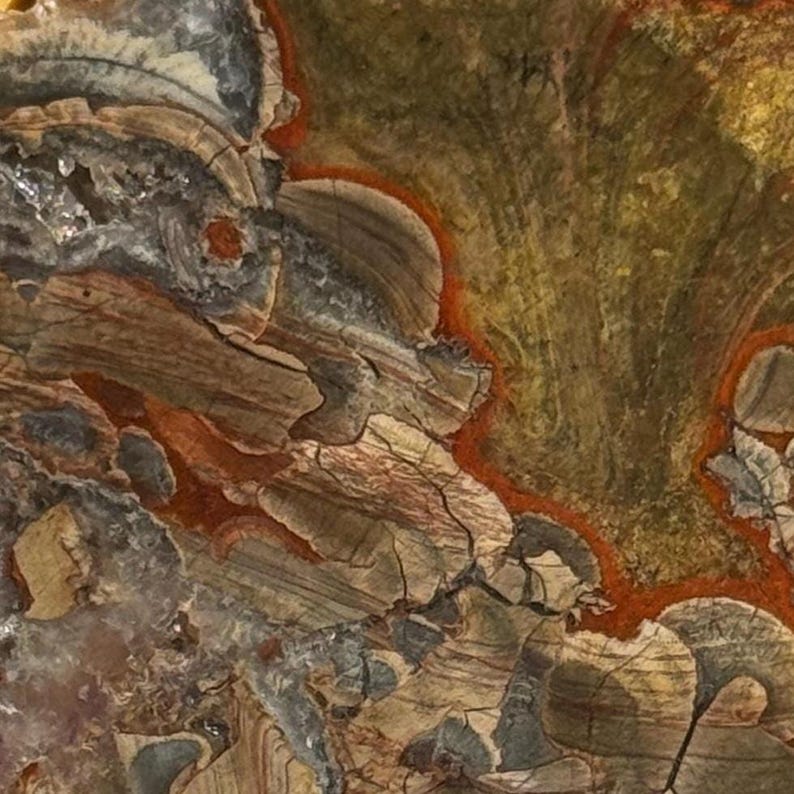 Mushroom Rhyolite/jasper Slab specimen, Lapidary - Etsy