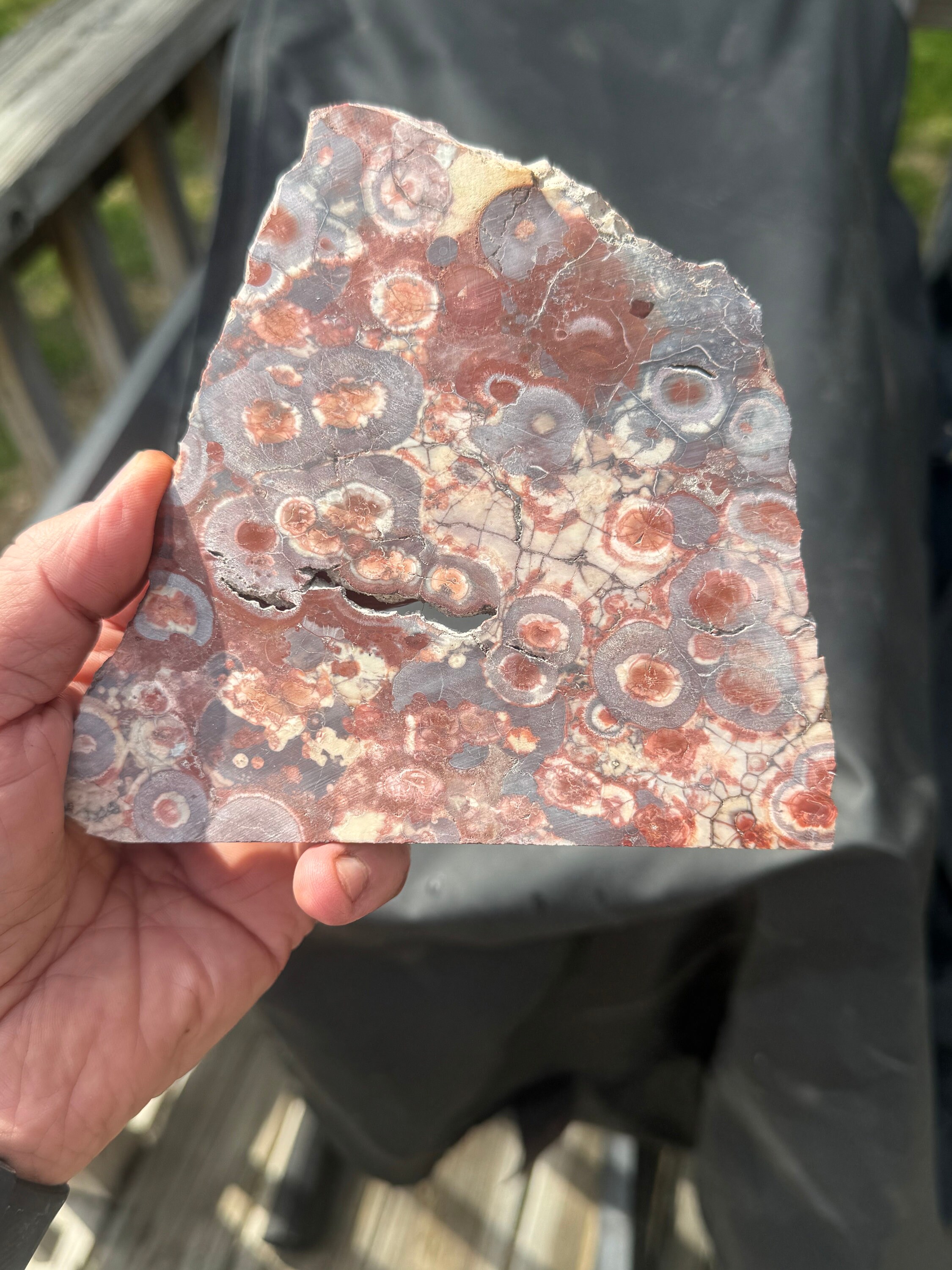 Galaxy Orbicular Rhyolite Slab specimen, Lapidary - Etsy