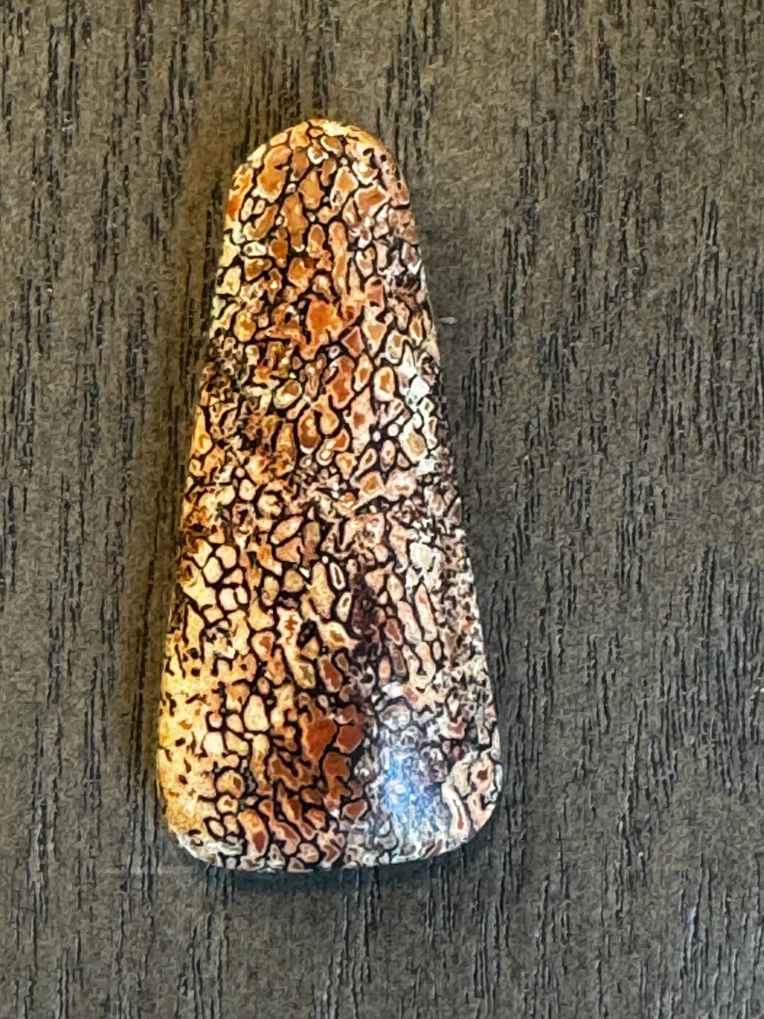 Dinosaur Bone Cab (cabochon) - Etsy