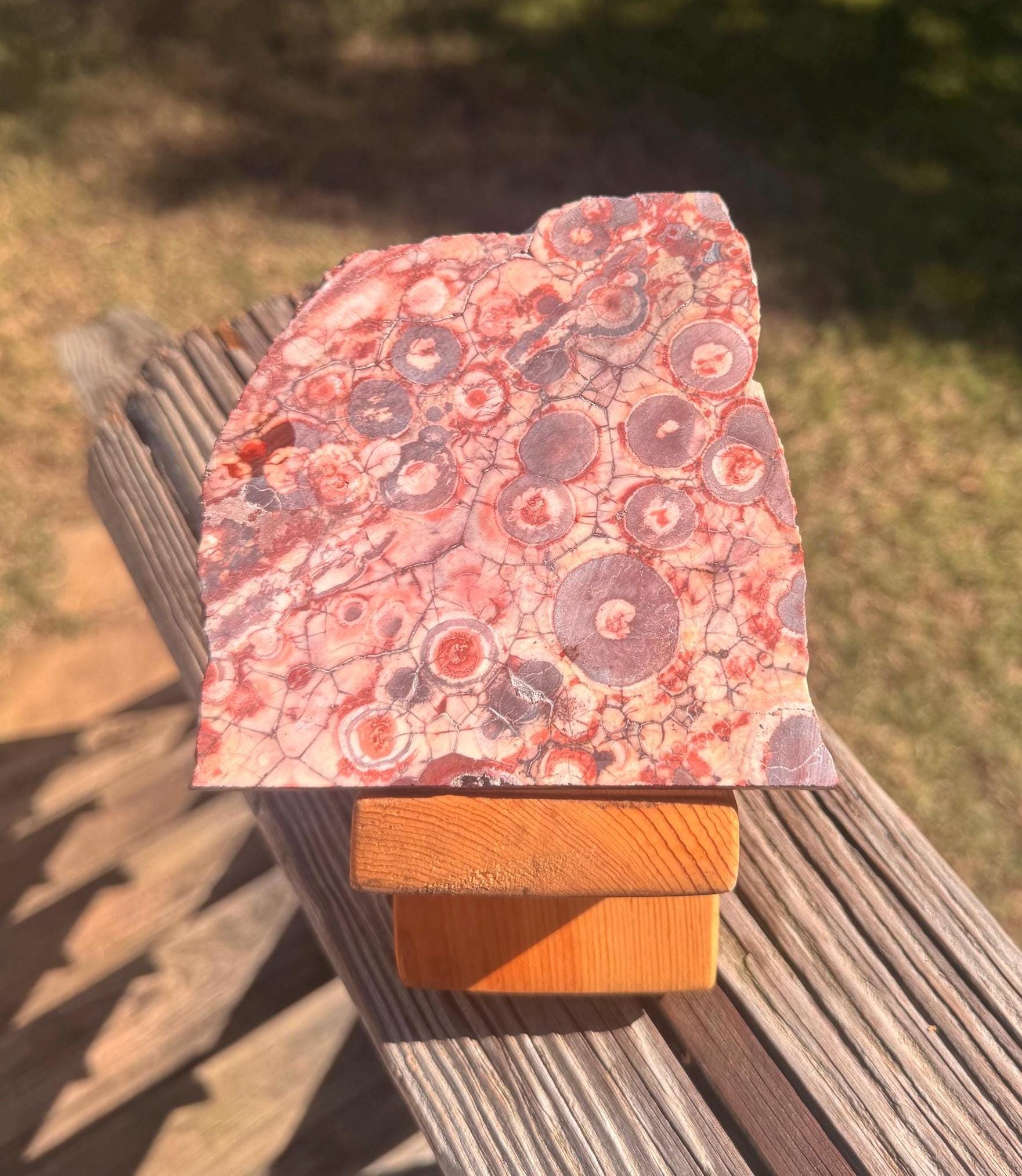 Galaxy Orbicular Rhyolite Slab (specimen, Lapidary) - Etsy