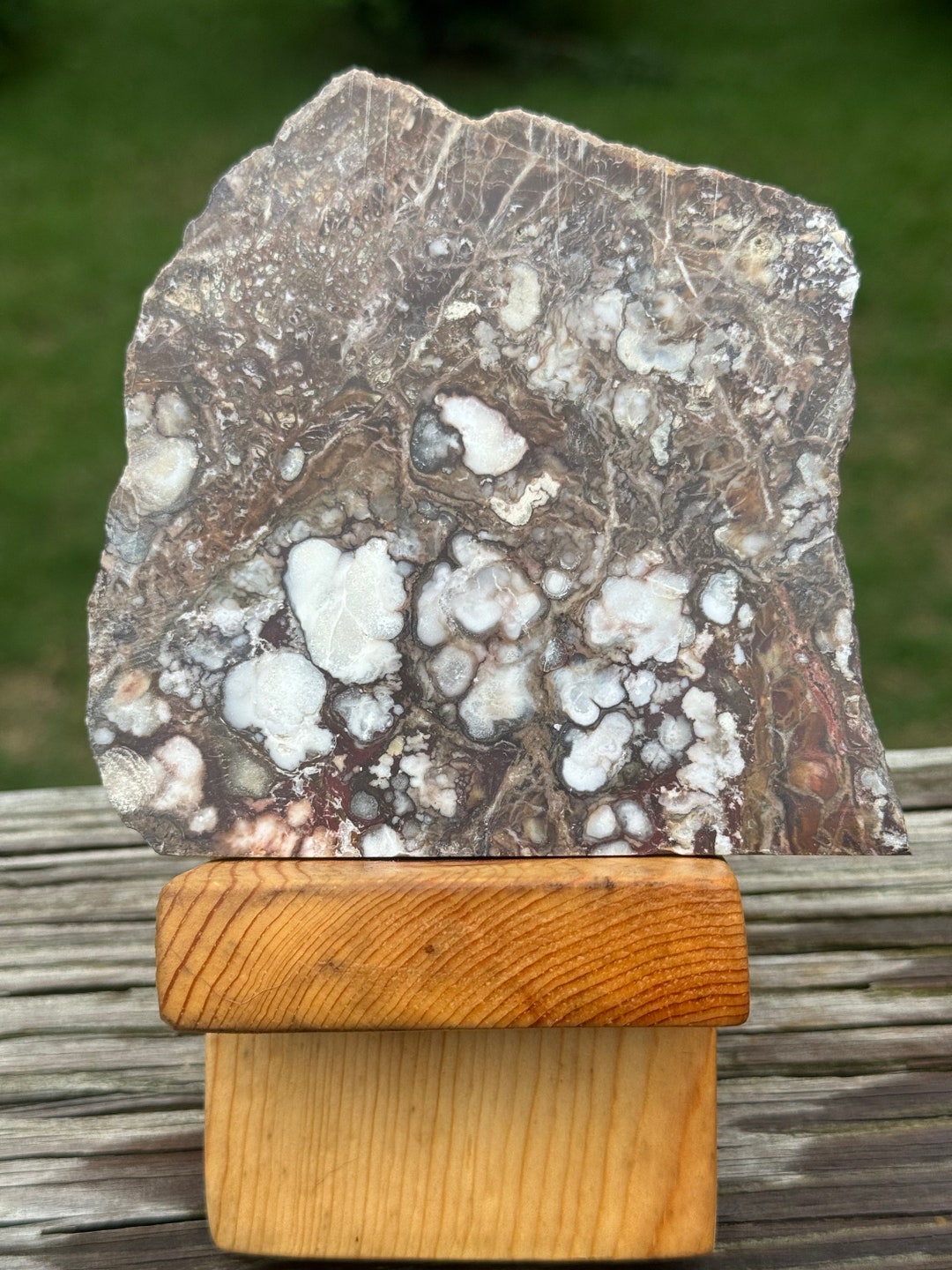 Wild Horse Jasper/magnesite (unpolished Rough, Speciment) - Etsy