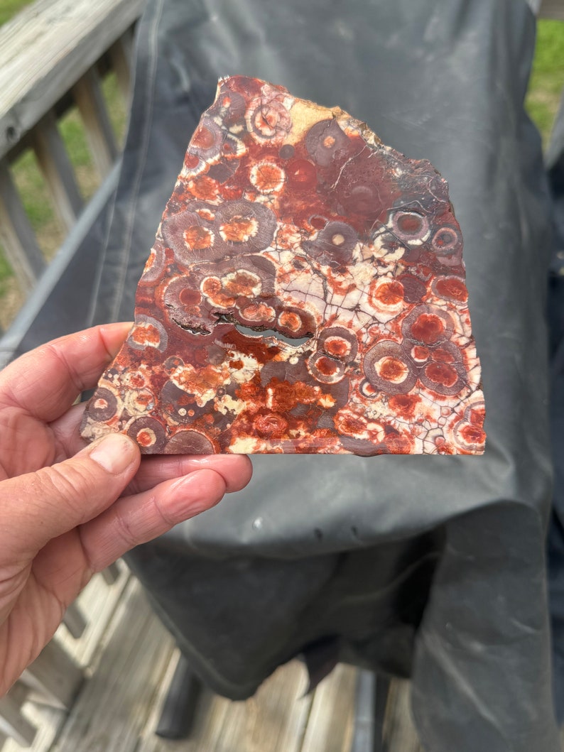 Galaxy Orbicular Rhyolite Slab specimen, Lapidary - Etsy