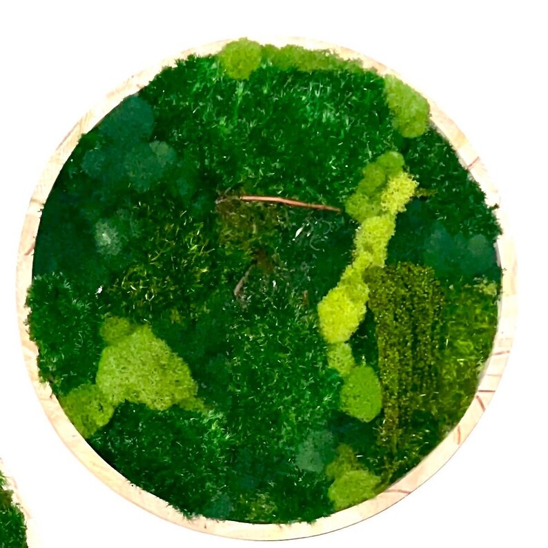 Green Moss Wall Art round Circle Wood Frames - Etsy
