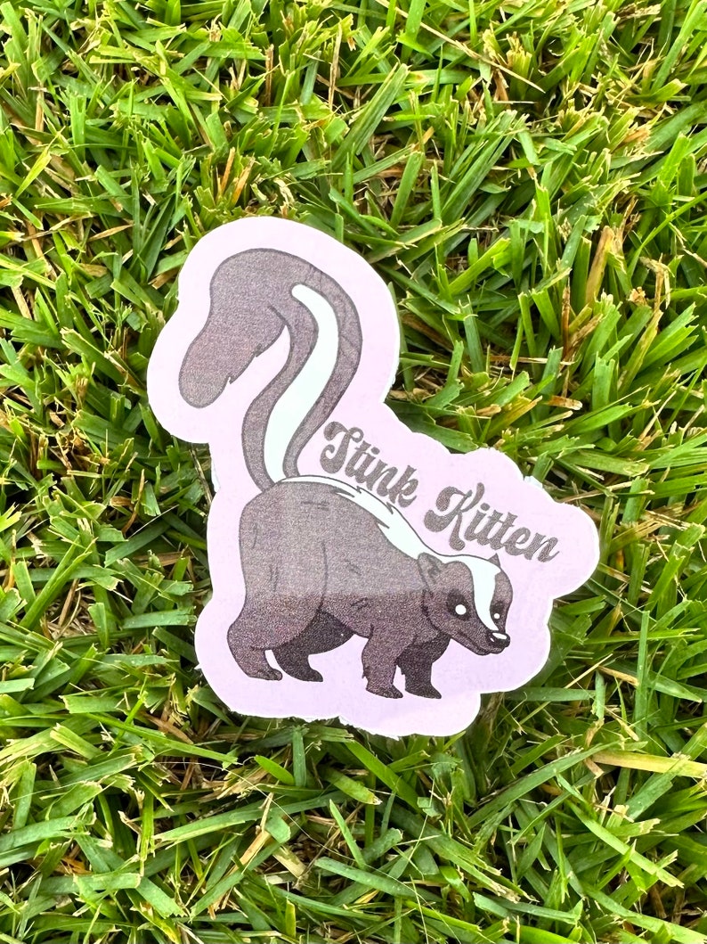 Skunk/stink Kitten pink Sticker - Etsy