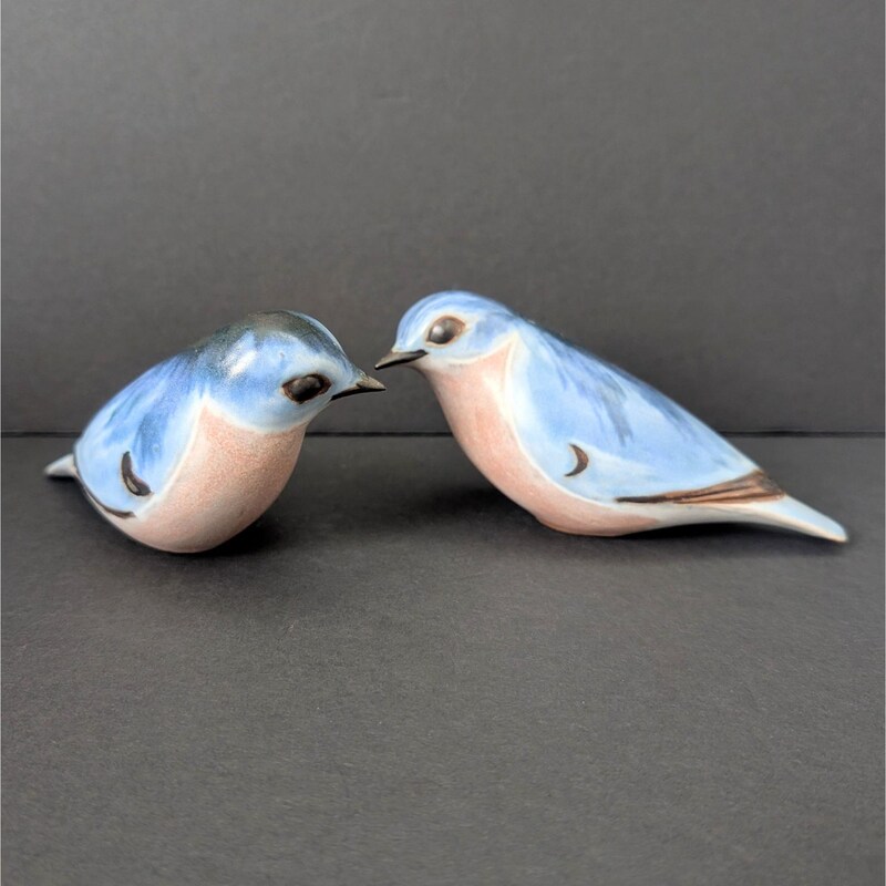 Bluebird Pottery - Etsy