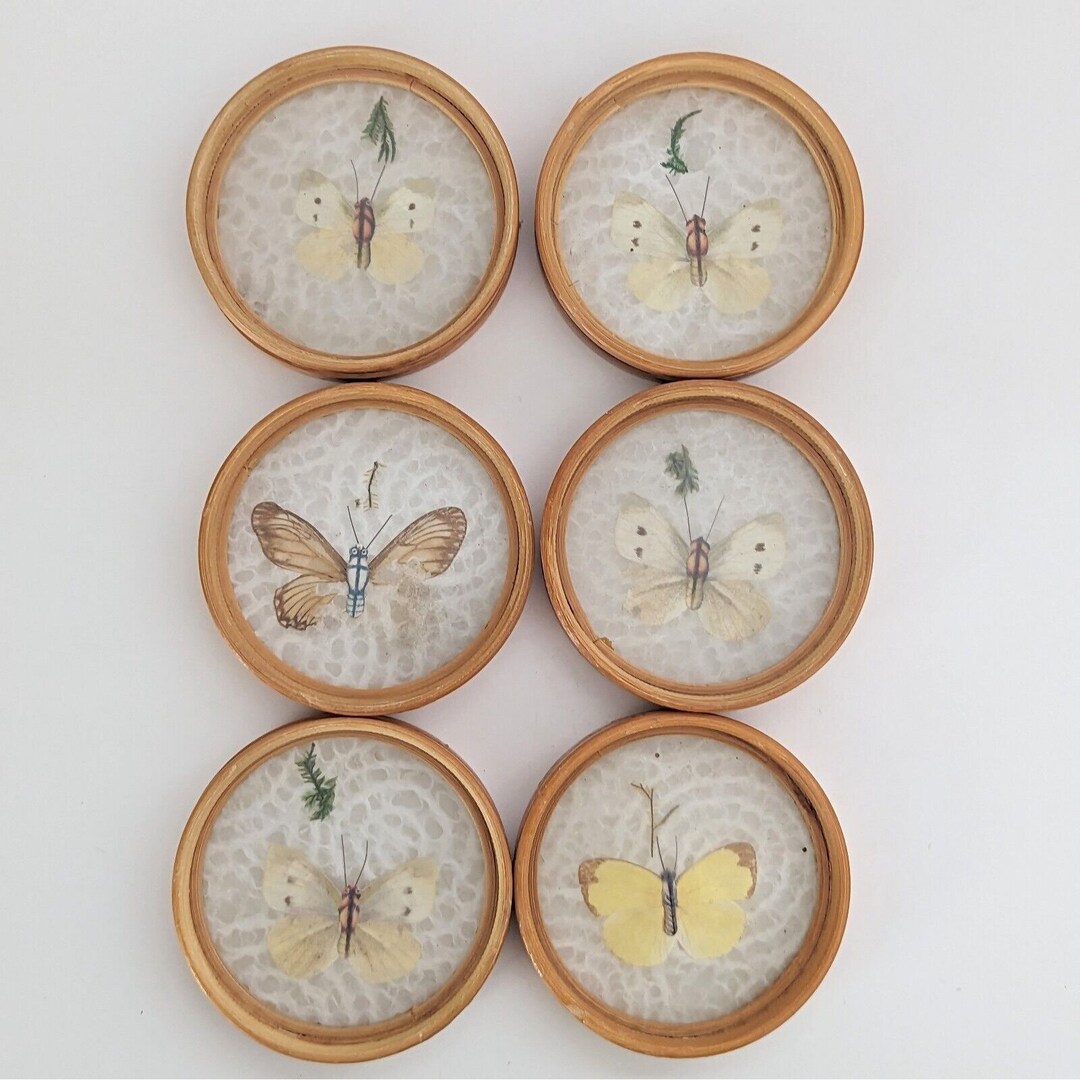 Vintage Rattan Butterflies Coasters Set of 6 With Holder Boho Decor - Etsy