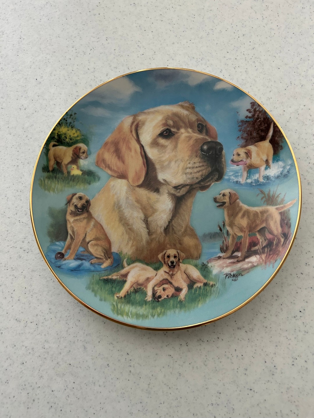 Labrador Retriever Bradford Exchange Collector Plate - Etsy