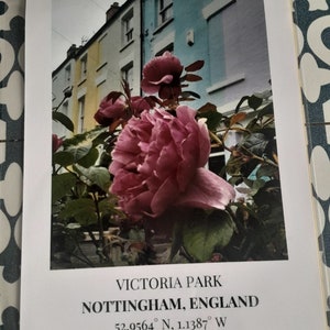Wall Decor Photo Print of Victoria Park Nottingham England Park Spring ...