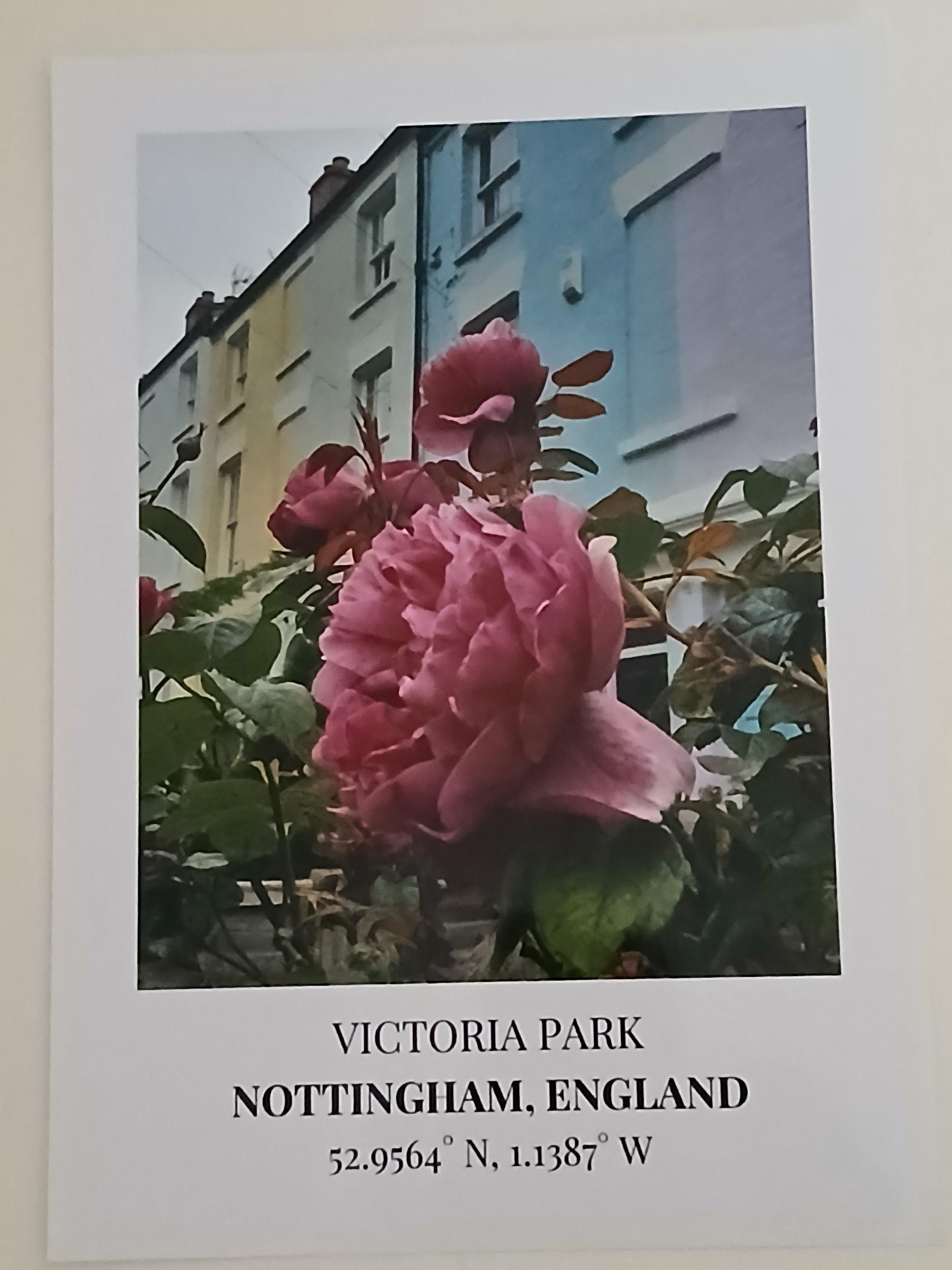 Wall Decor Photo Print of Victoria Park Nottingham England Park Spring ...