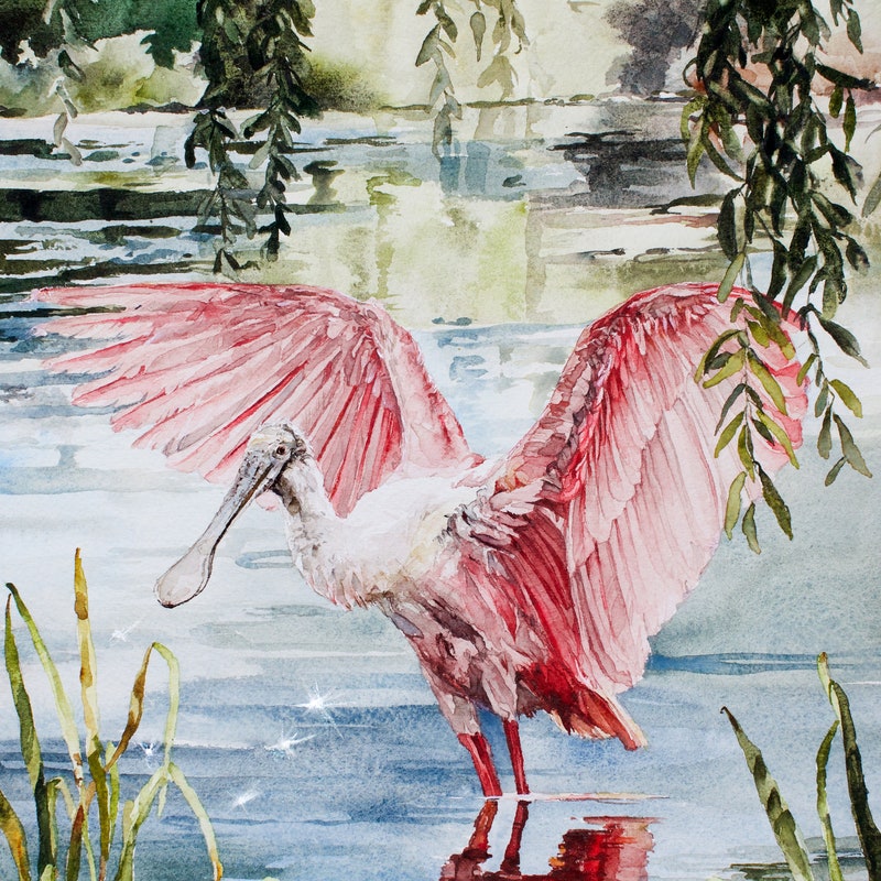 Spoonbill - Etsy