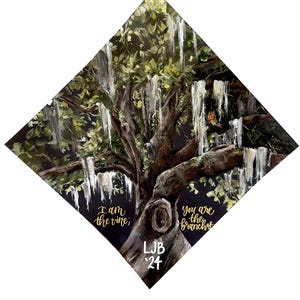 CUSTOM Nature Adventure Graduation Cap Topper — Painted Grad Cap ...