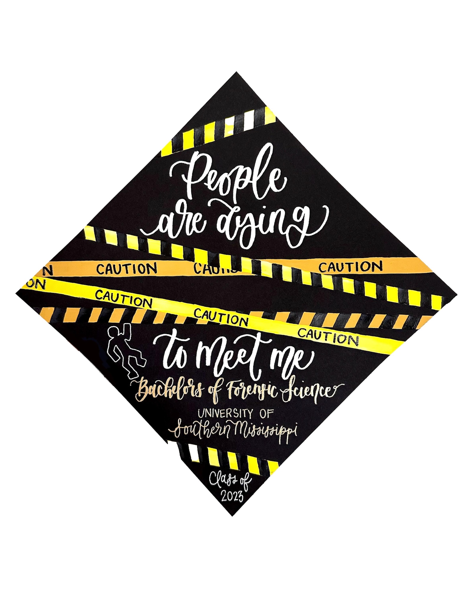 CUSTOM Criminology Graduation Cap Topper — Painted Grad Cap ...