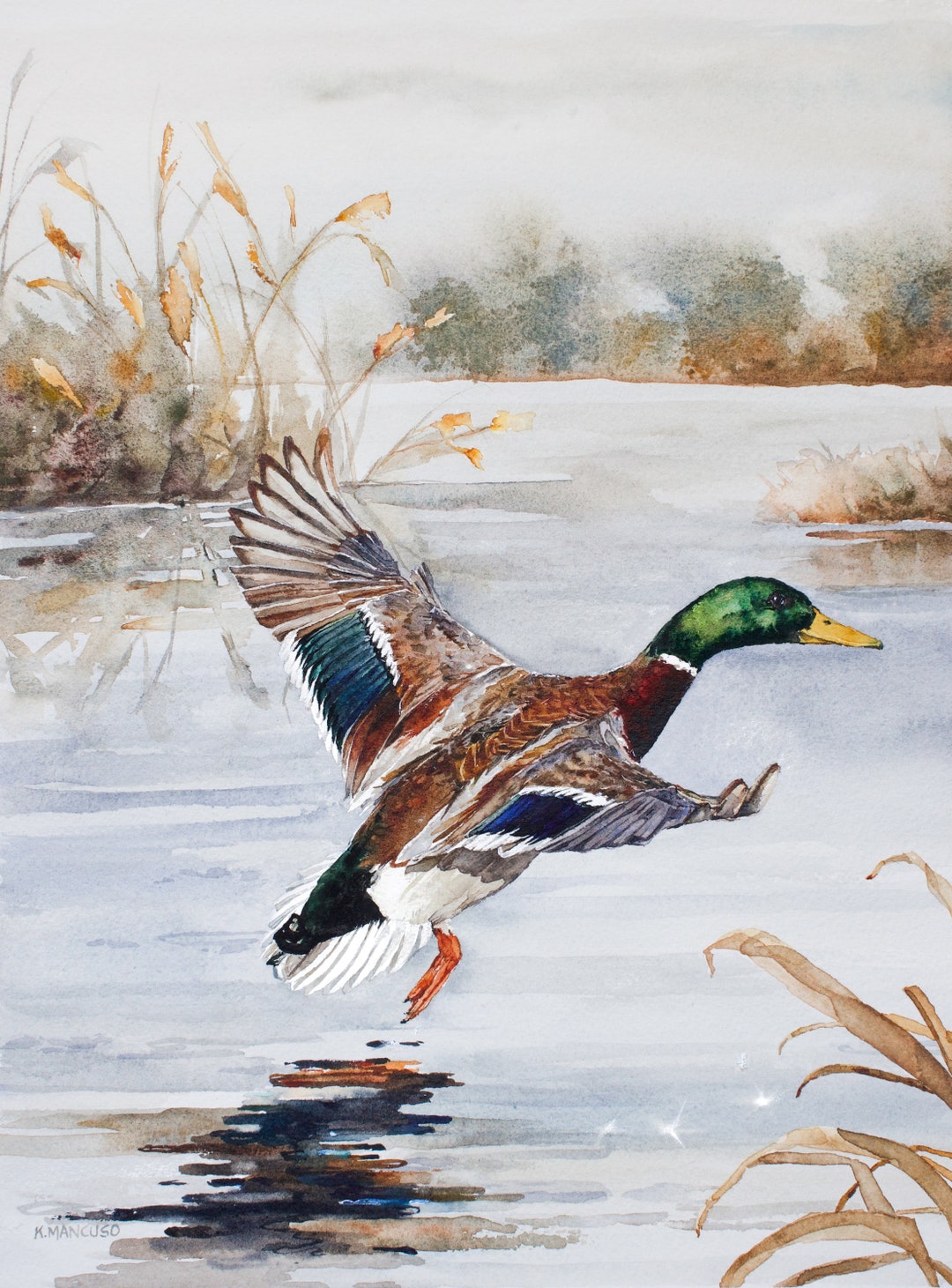Mallard Duck Watercolor Painting | Mallard Wall Art Print | Duck in ...
