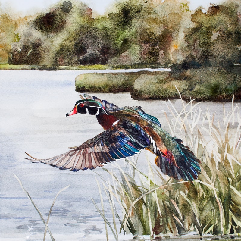 Duck Art - Etsy