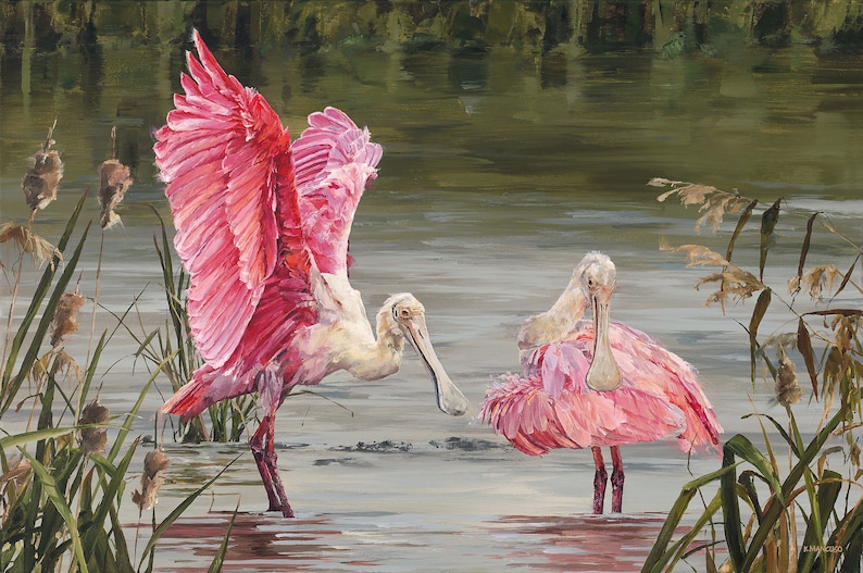 Spoonbill Painting Roseate Spoonbill Art Print Lovebird Painting ...