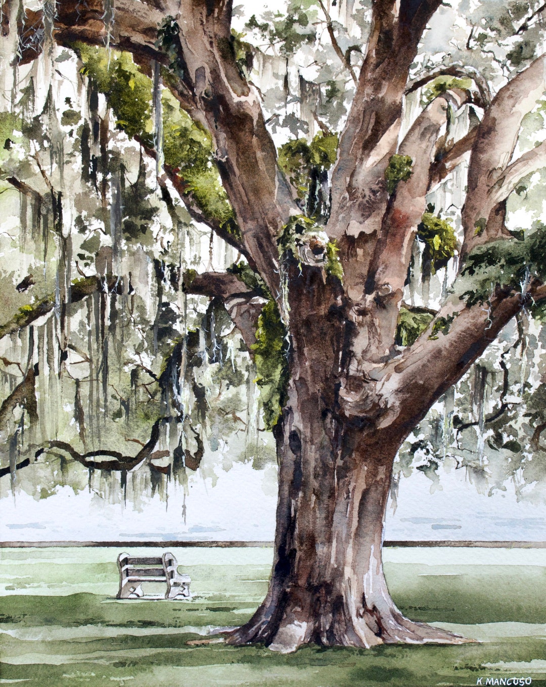 Oak Tree Watercolor Art Print | Oak Tree Painting | Louisiana ...