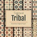 Traditional Tribal Digital Paper Pack, Native American Seamless Pattern ...