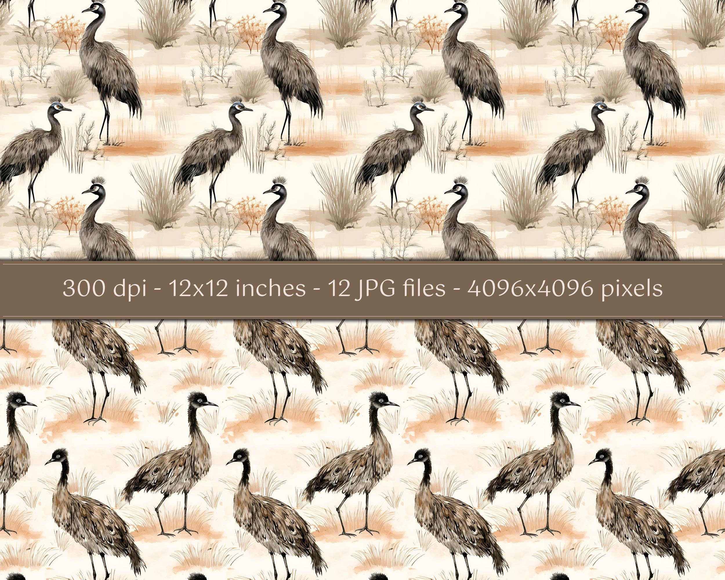 Australian Birds Digital Paper Pack, Rustic Watercolor Seamless Pattern ...