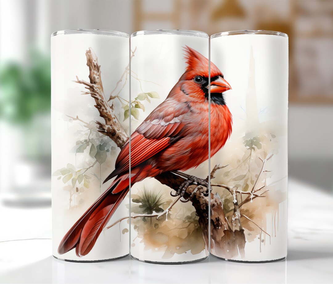 Cardinal Bird Tumbler Insulated Stainless Steel 20oz W/straw , Bird ...