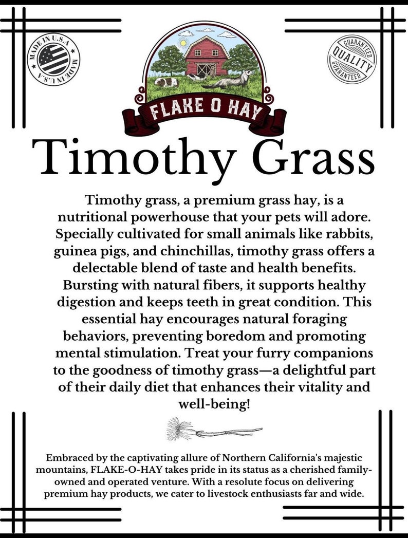 Timothy Grass Hay 5lbs Etsy